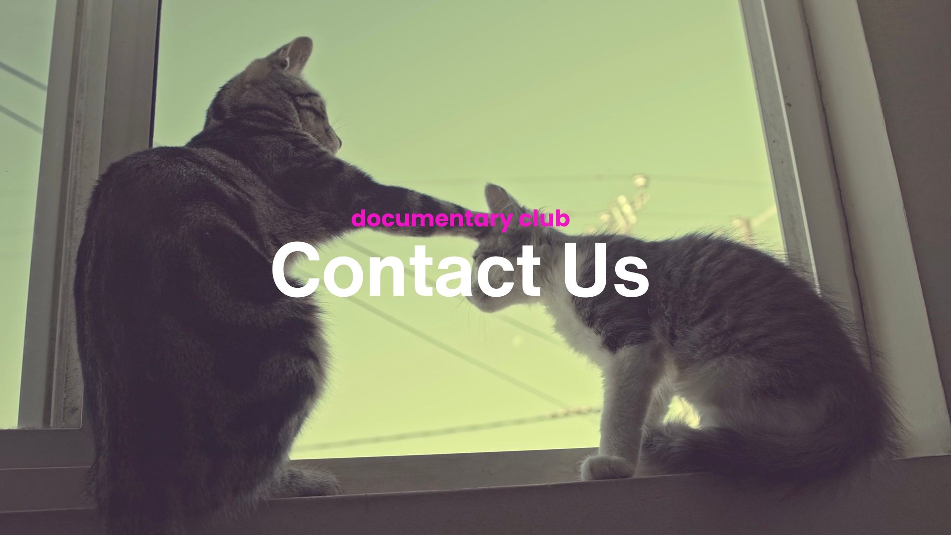 Contact Us - Documentary Club